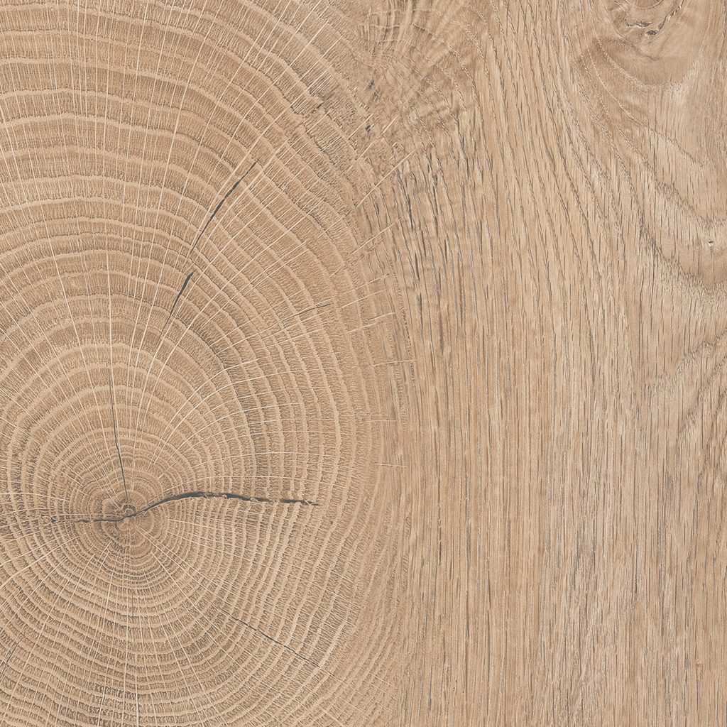 Stalen Service – Pagina 4 – eenvoudig stalen aanvragen